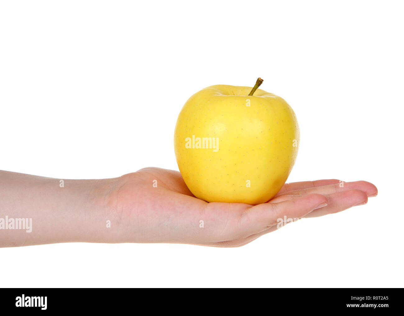 Young female hand holding one golden delicious yellow apple in open ...