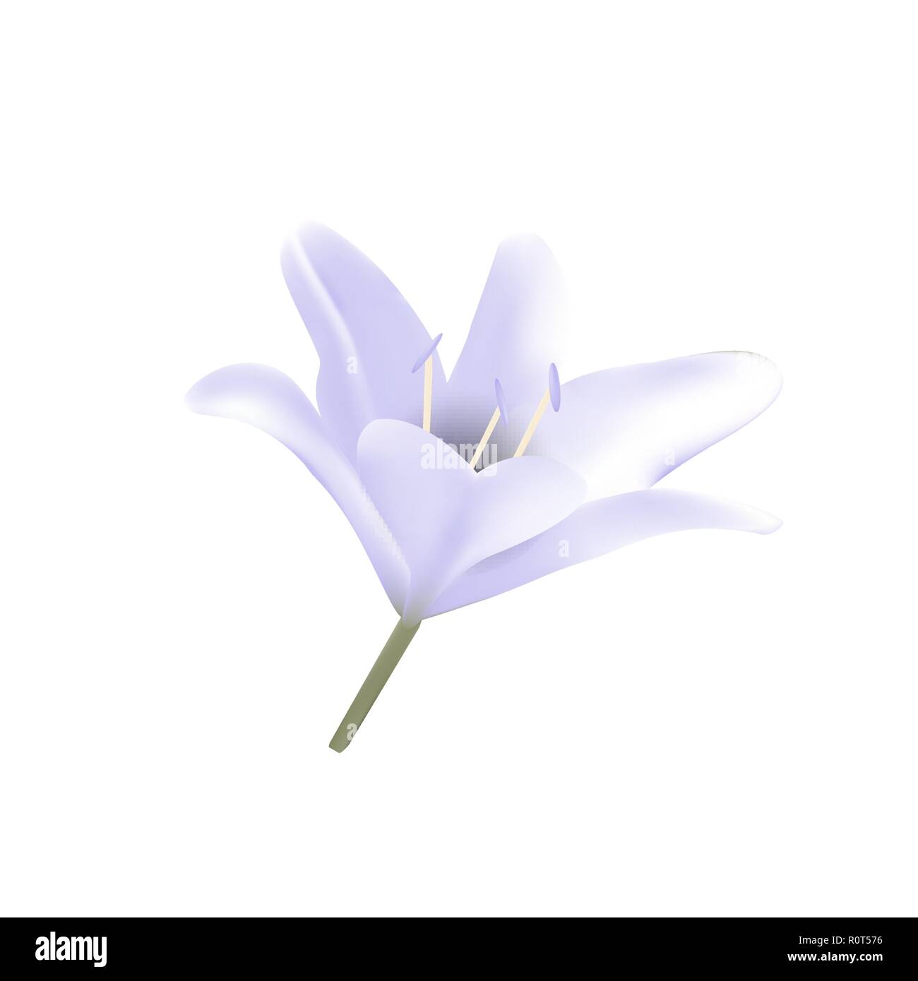 Blue lily. Vector illustration Beautiful flowers bloom Stock Vector ...