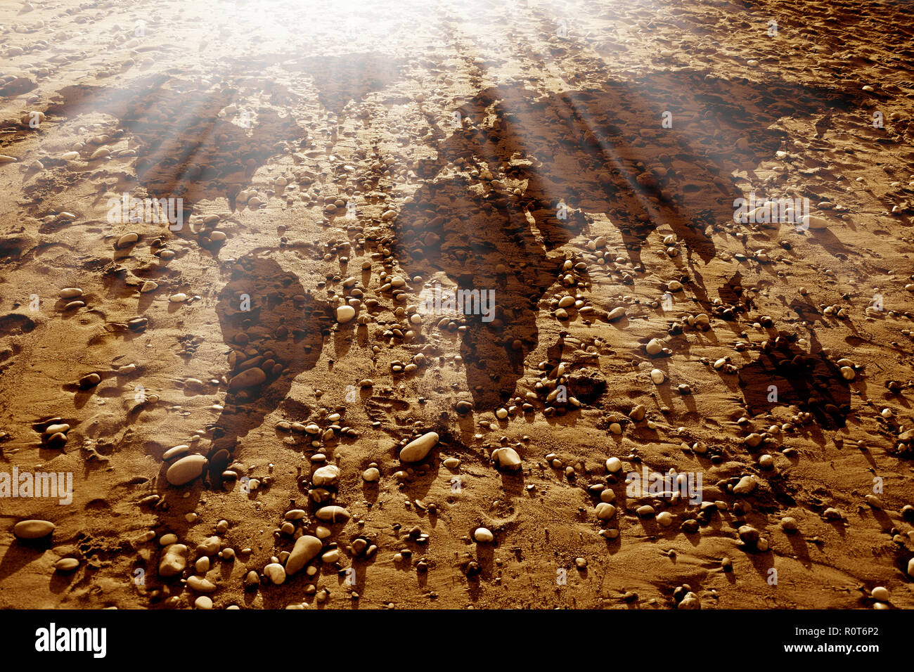 Dirt texture map hi-res stock photography and images - Alamy