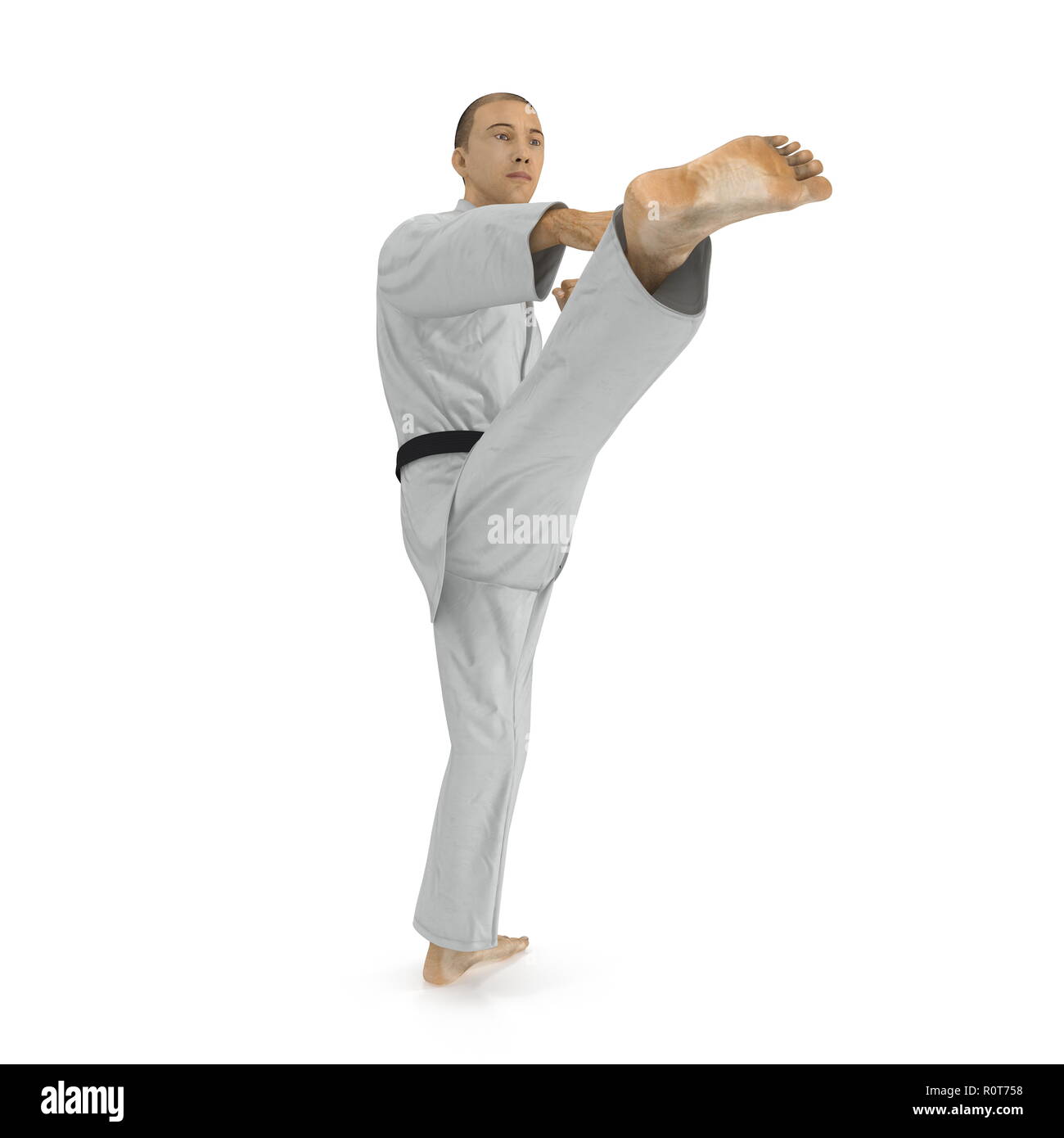 Karate man in a kimono fighting pose on white. 3D illustration Stock ...
