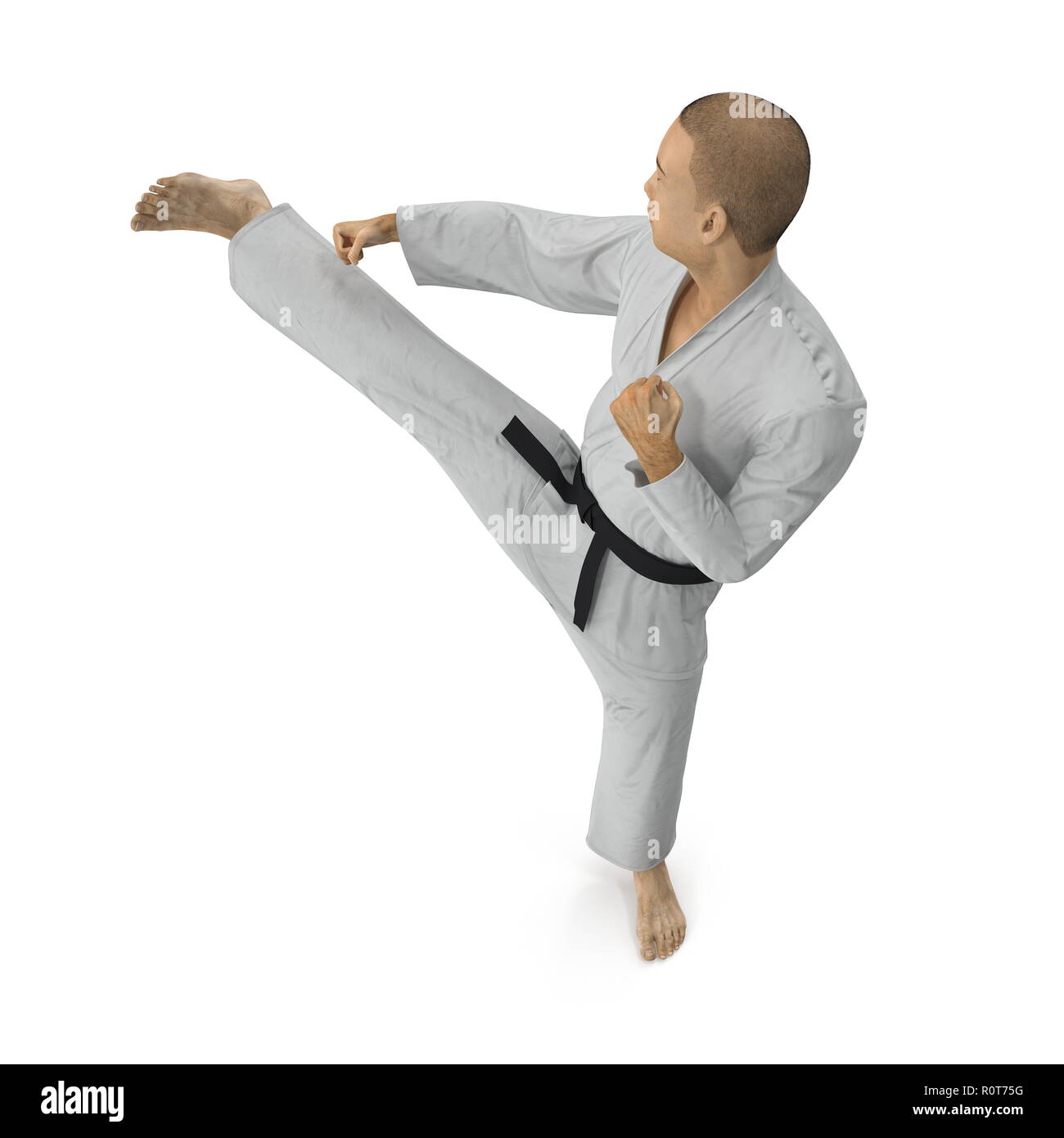 White Karate Fighter fighting pose Isolated on white. 3D illustration ...