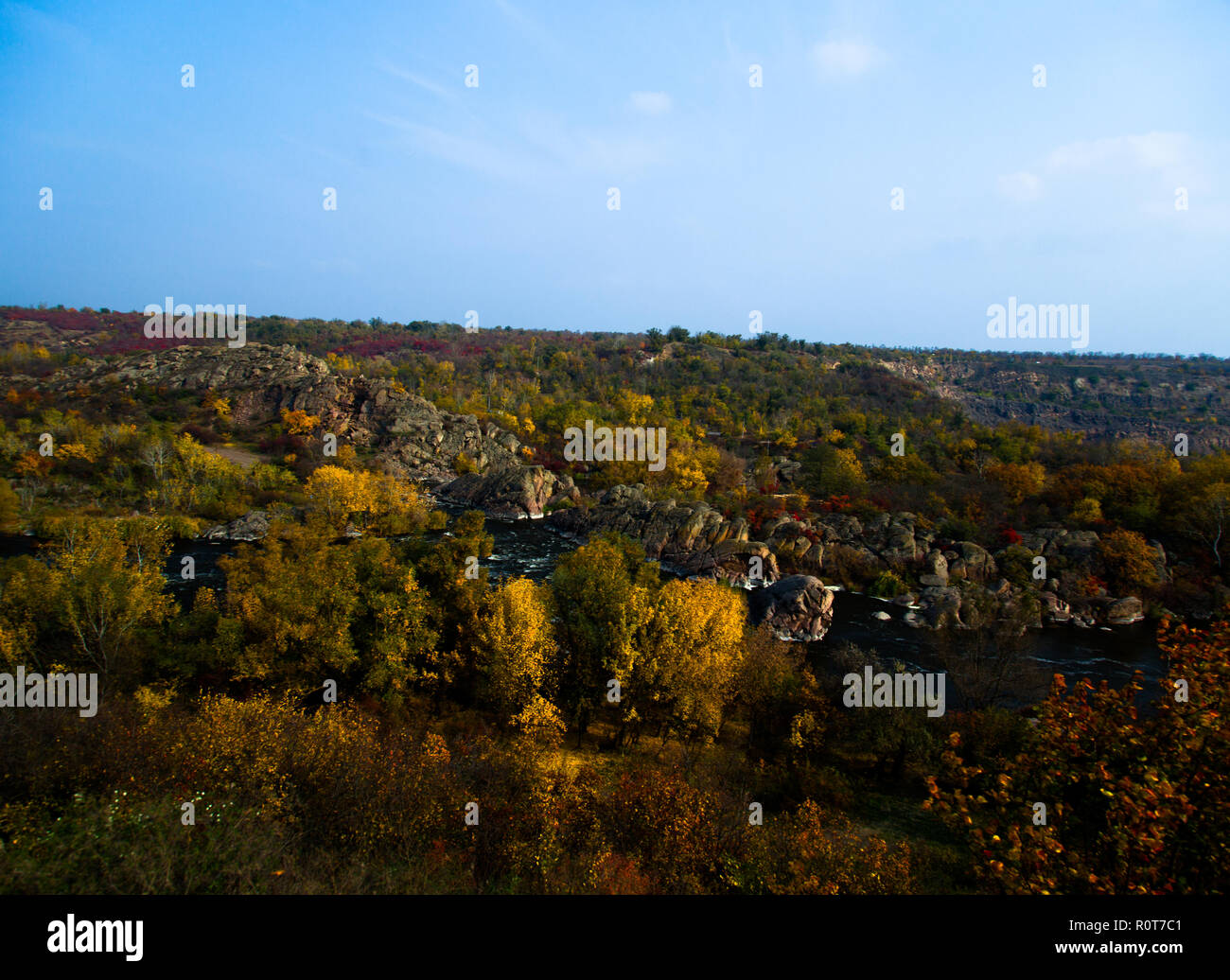 bright yellow trees sunny day panorama on the river bank golden autumn ...