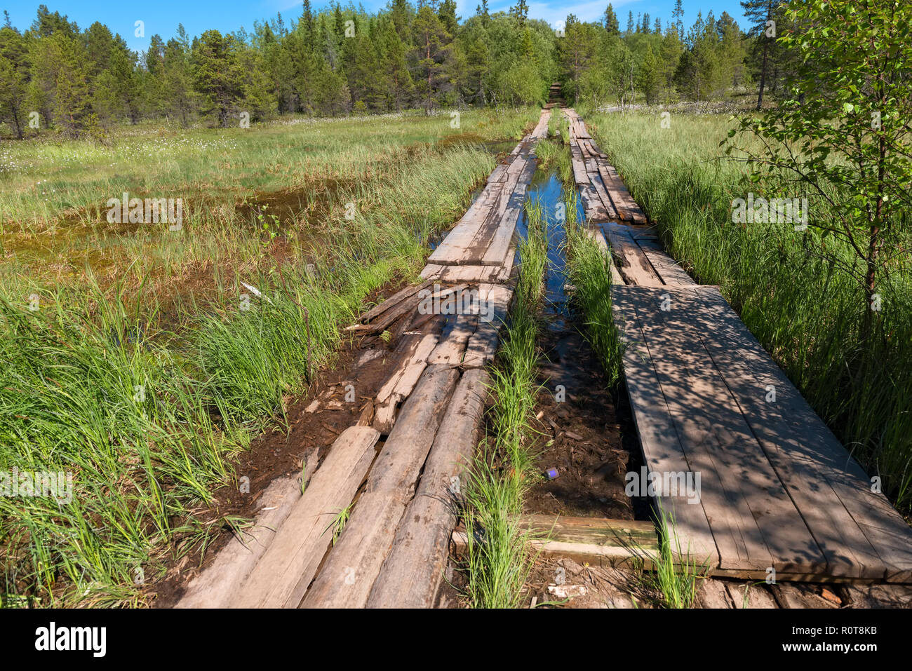 Bog island lake hi-res stock photography and images - Alamy