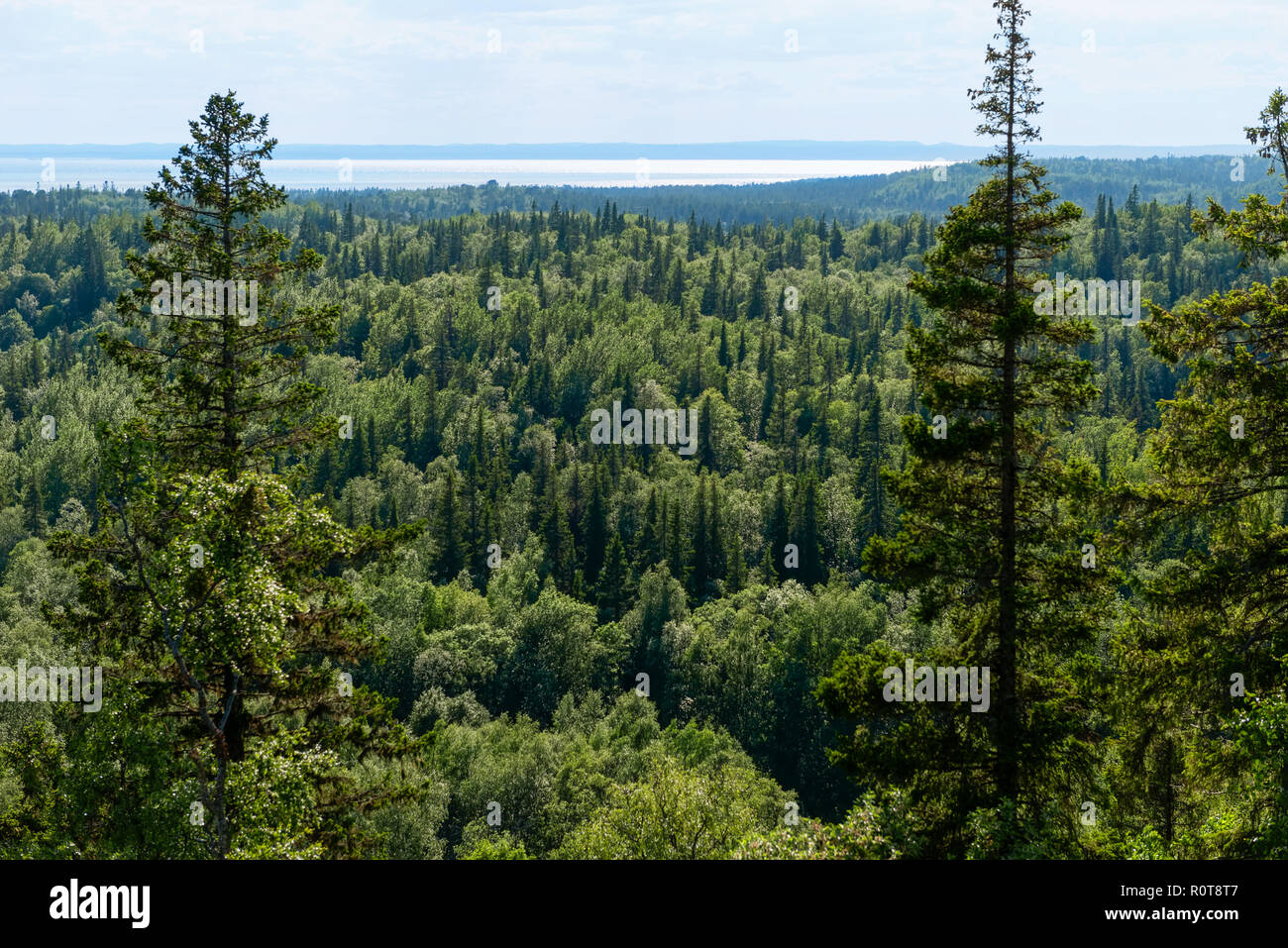 View of the island of Anzersky and the White Sea from Mount Calvary on ...