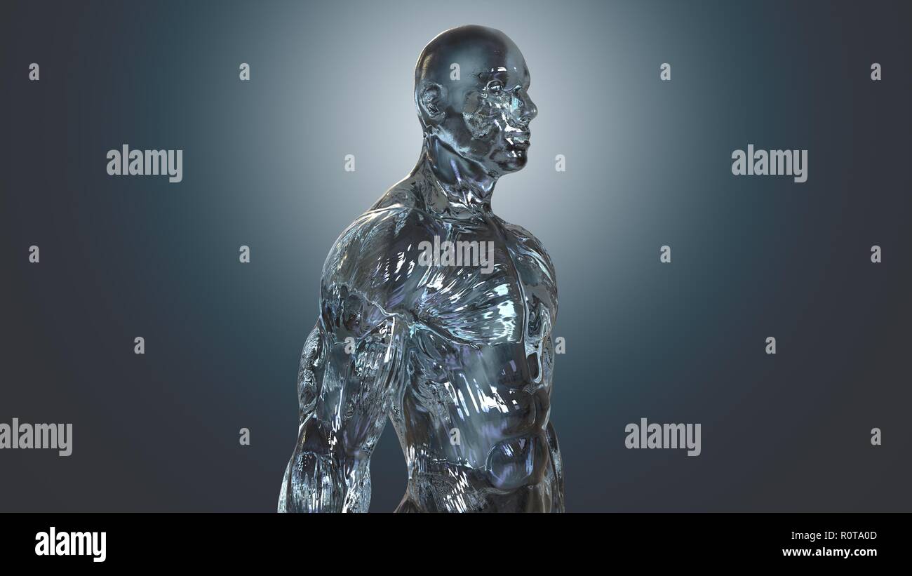 écorché man hi-res stock photography and images - Alamy