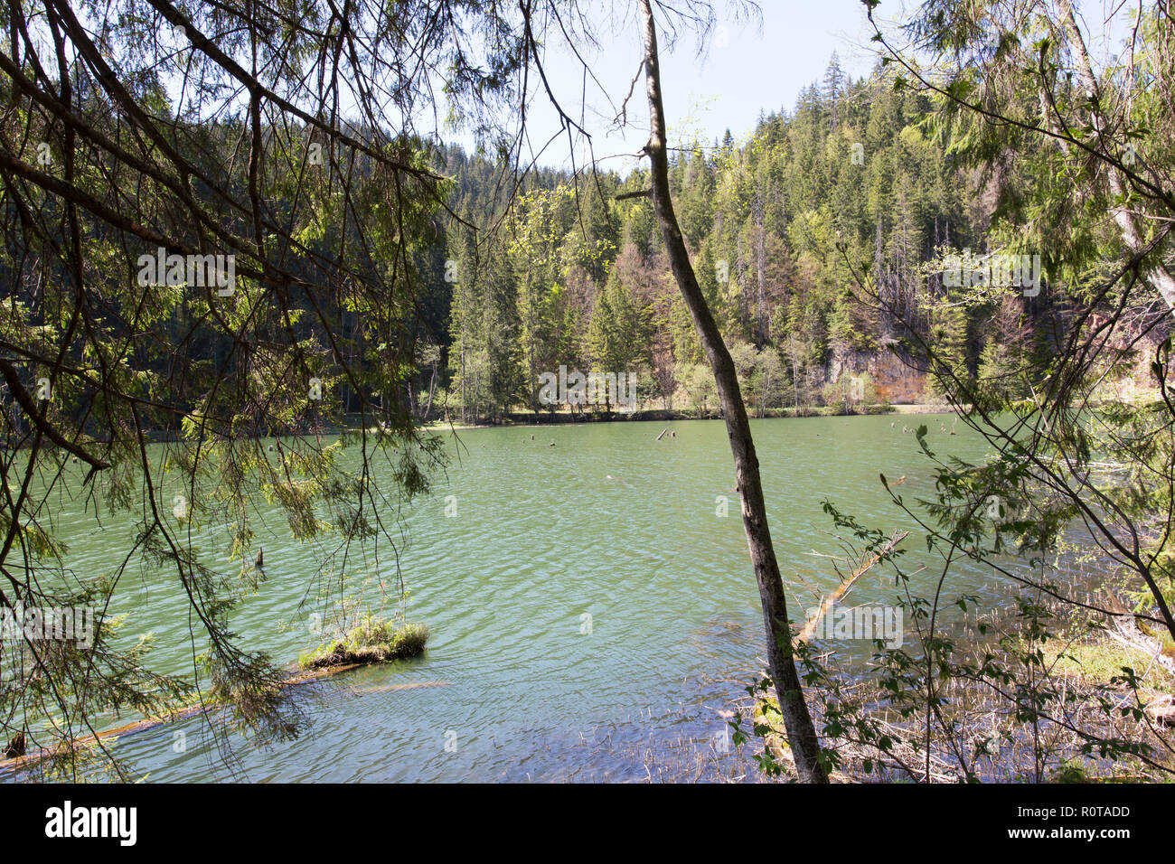 Famous red lake in Romania Stock Photo - Alamy
