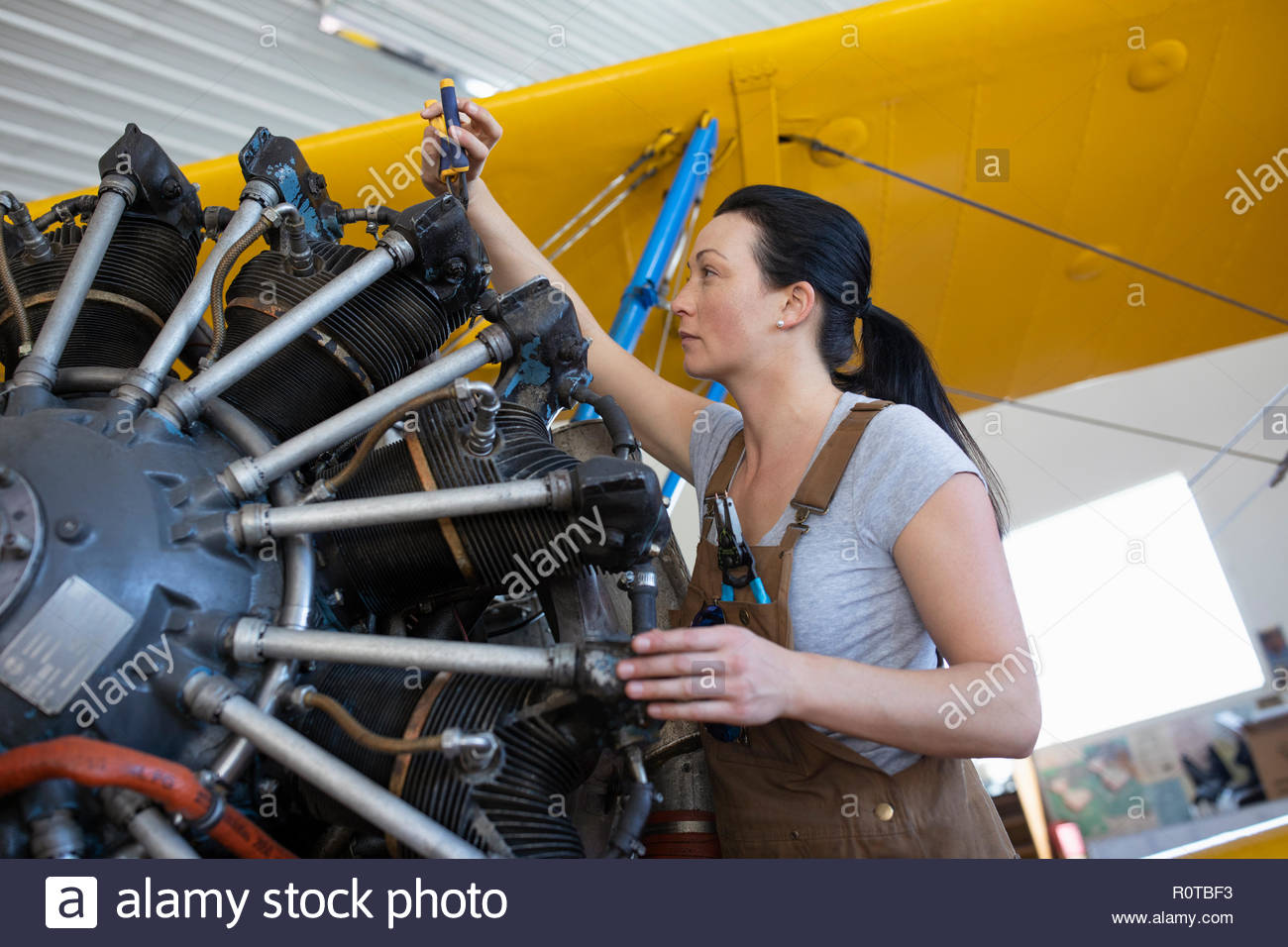 Inspecting hi-res stock photography and images - Alamy