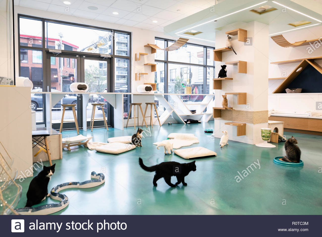 Cafe playing hi-res stock photography and images - Alamy