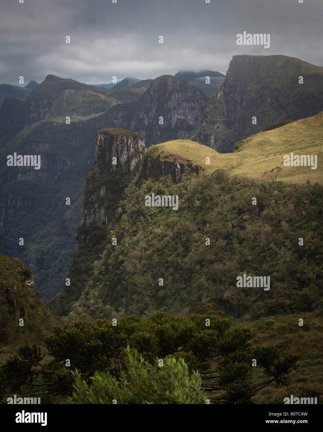 Greenfields hi-res stock photography and images - Alamy