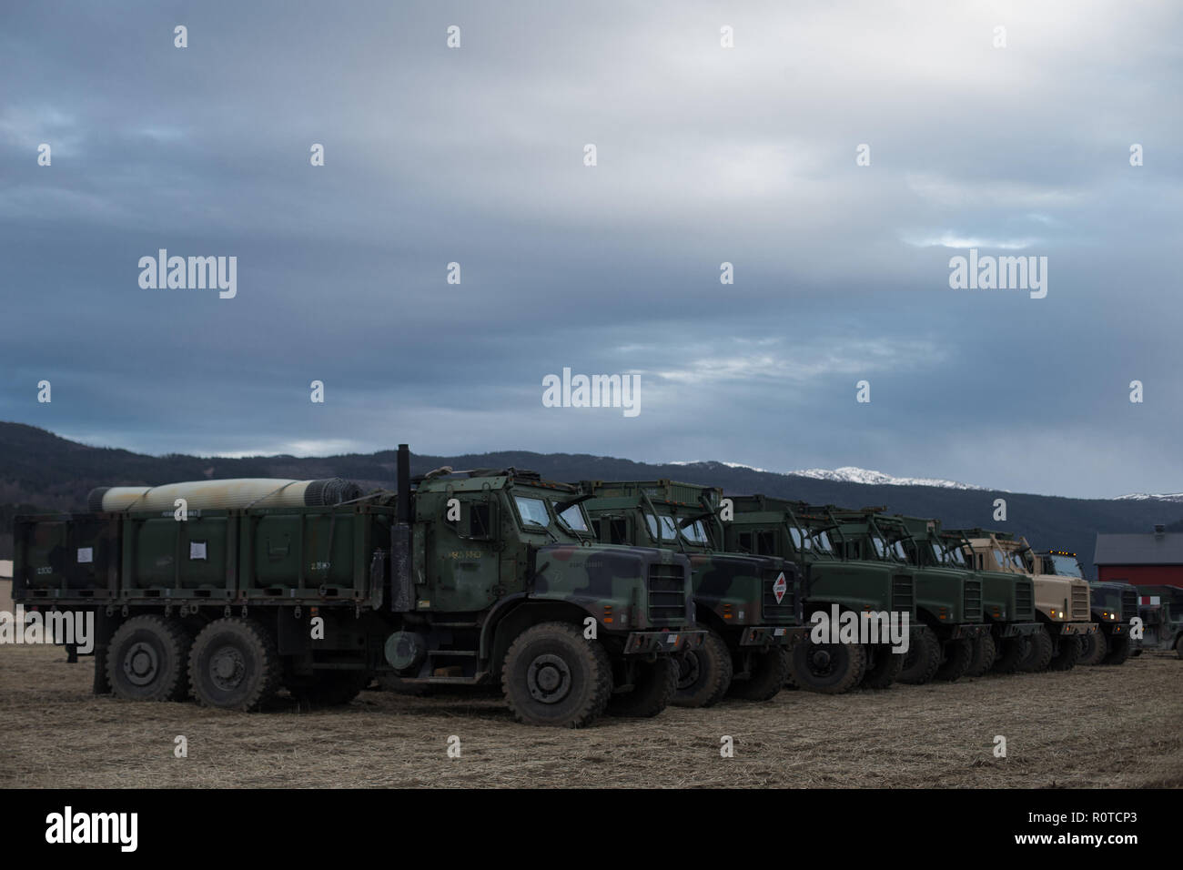 U.S. Marine Corps Medium tactical vehicle replacements sit in a line at ...