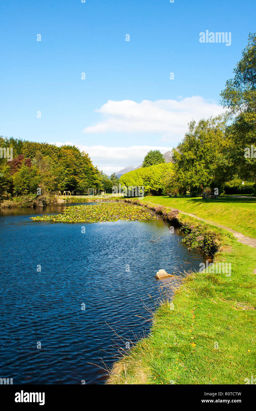 Silent valley water lilies hi-res stock photography and images - Alamy