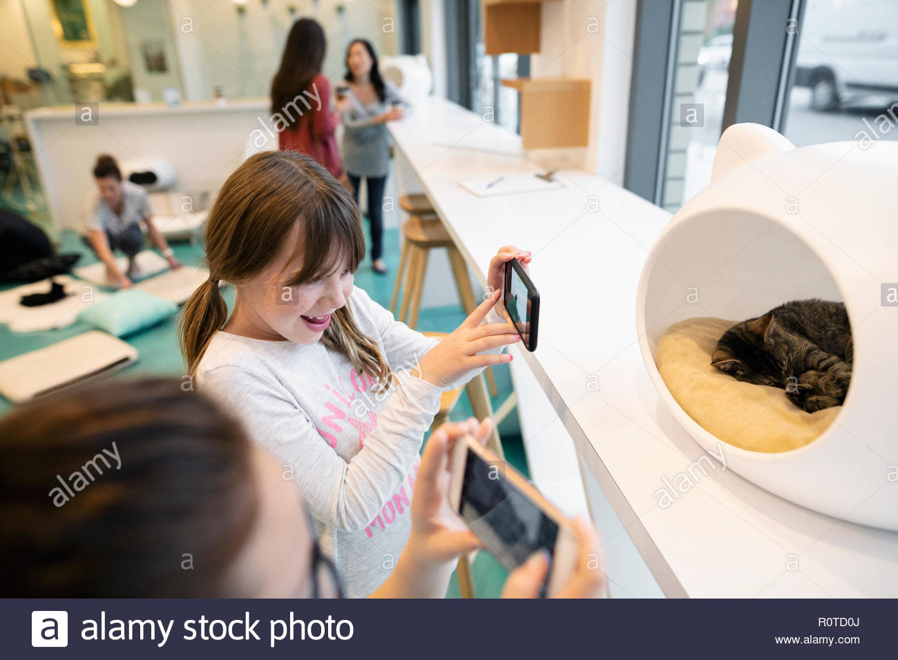 Girl cat sleeping hi-res stock photography and images - Alamy