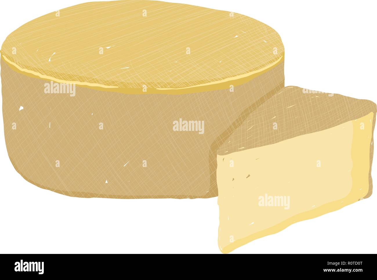Vector painterly set of parmesan cheese, whole and sliced. Editable ...