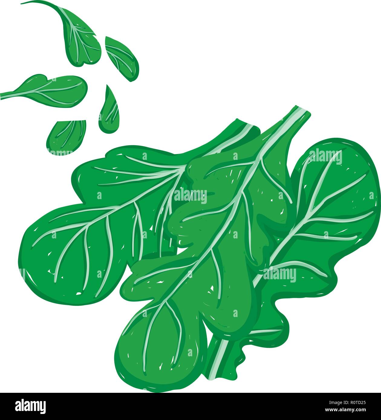 Rocket salad garden Stock Vector Images - Alamy