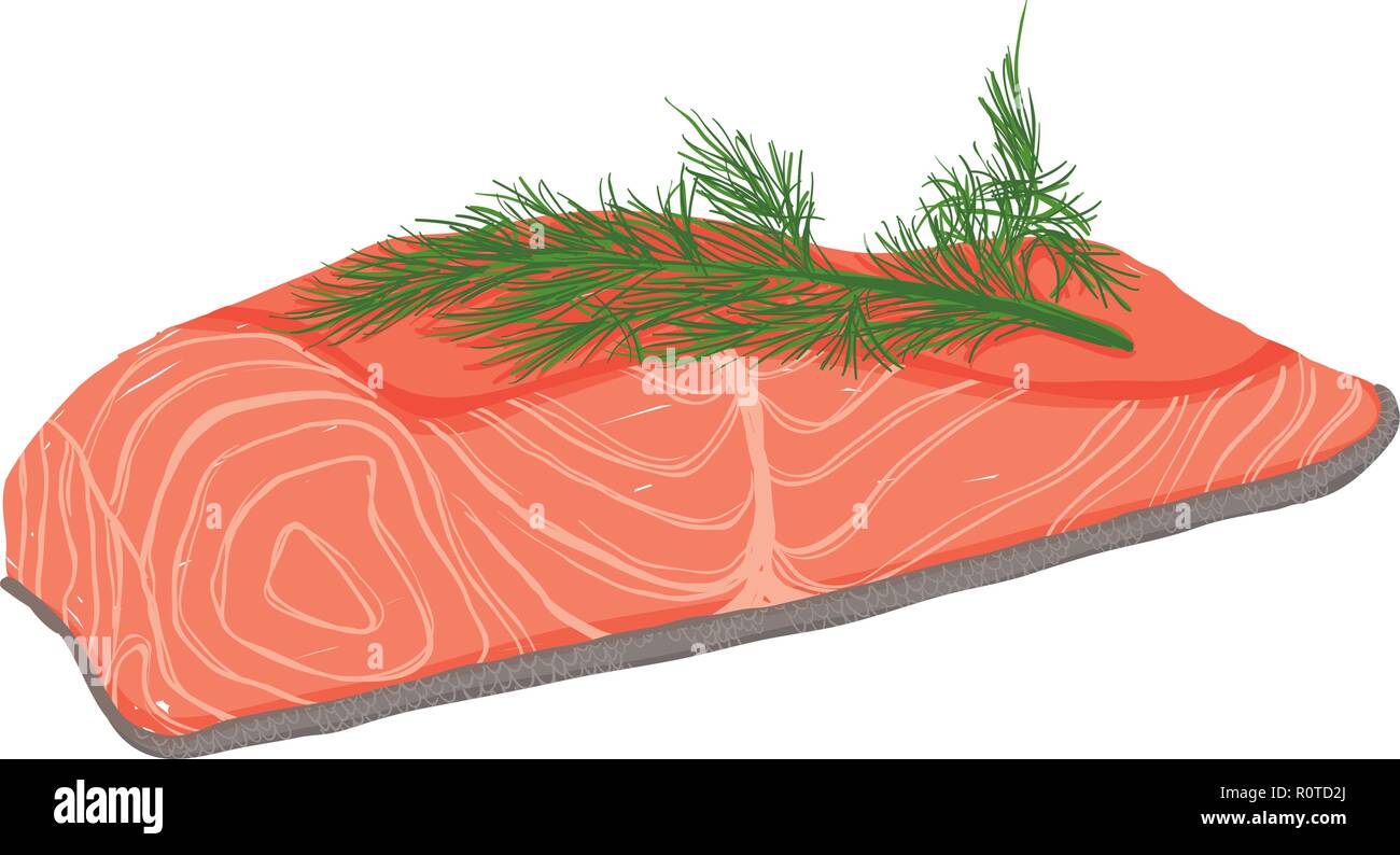 Vector painterly set of raw salmon fish fillet. Editable, scalable ...
