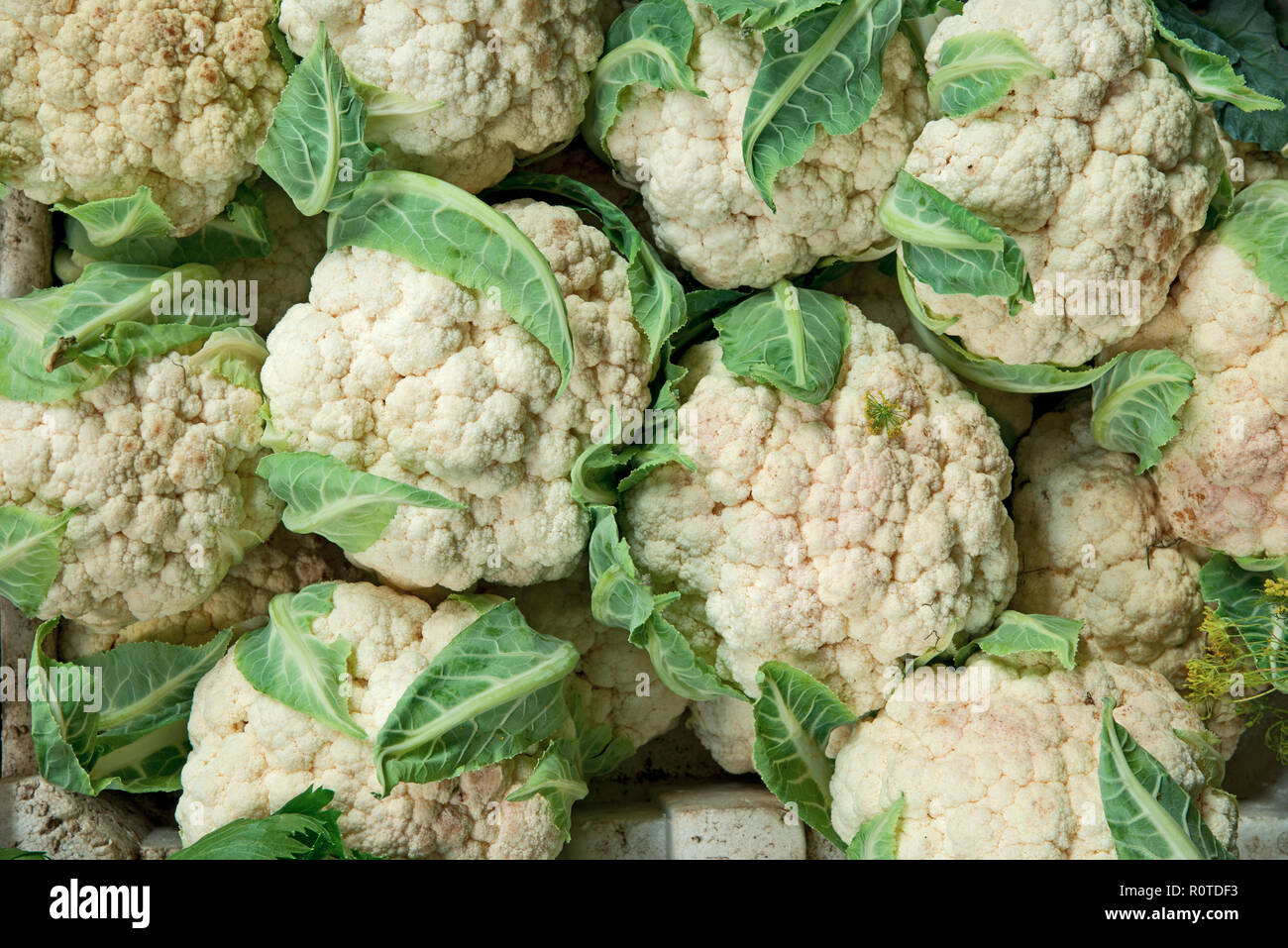 fresh cauliflower heads closeup with green leaves, background Stock ...