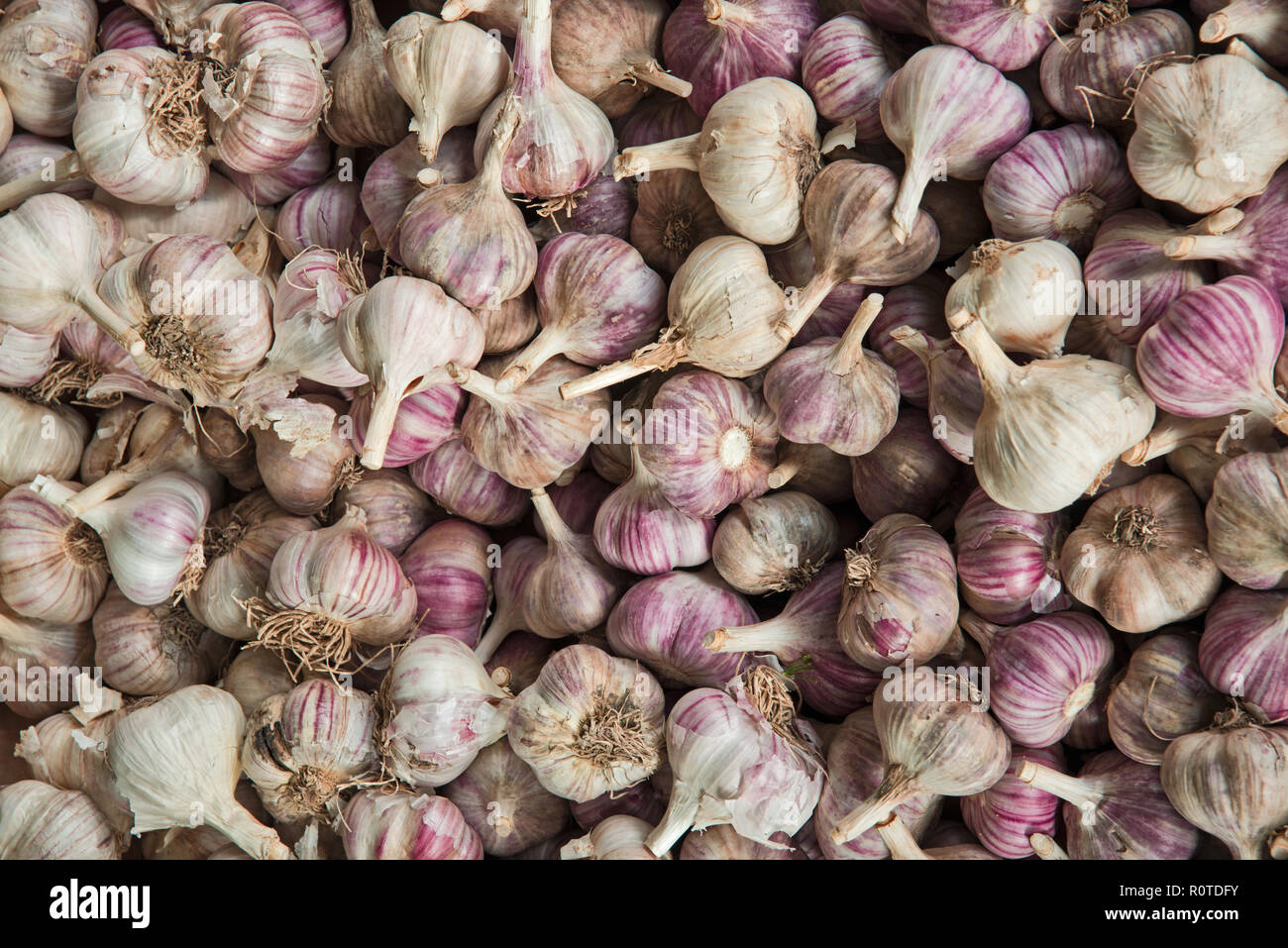 Peeled garlic heads hi-res stock photography and images - Alamy