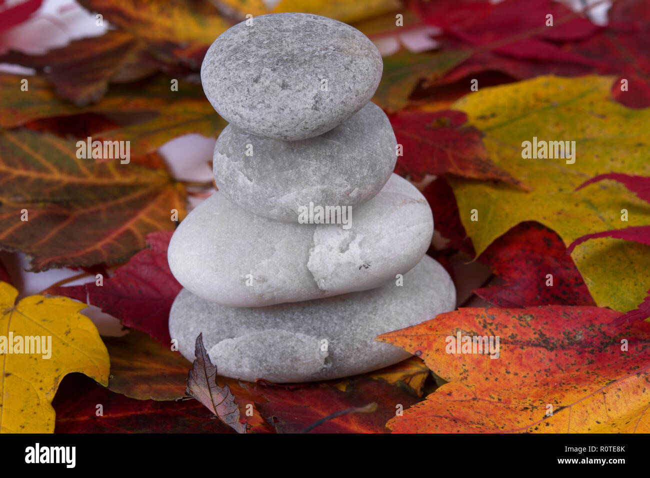 Fall mindfulness hi-res stock photography and images - Alamy