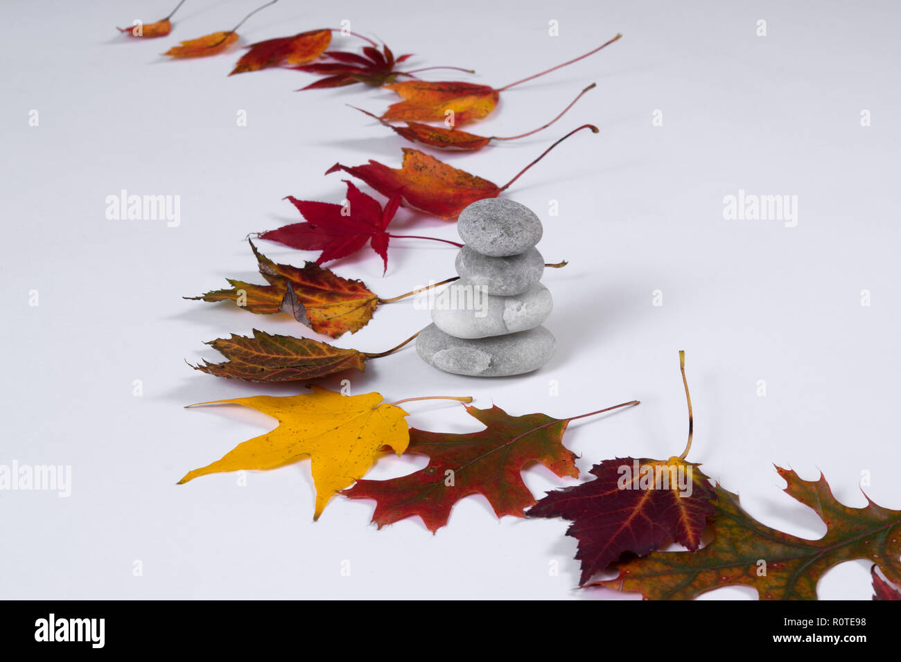 Fall leaves meditation Stock Photo - Alamy