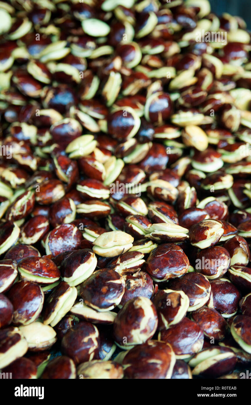 Jengkol hi-res stock photography and images - Alamy