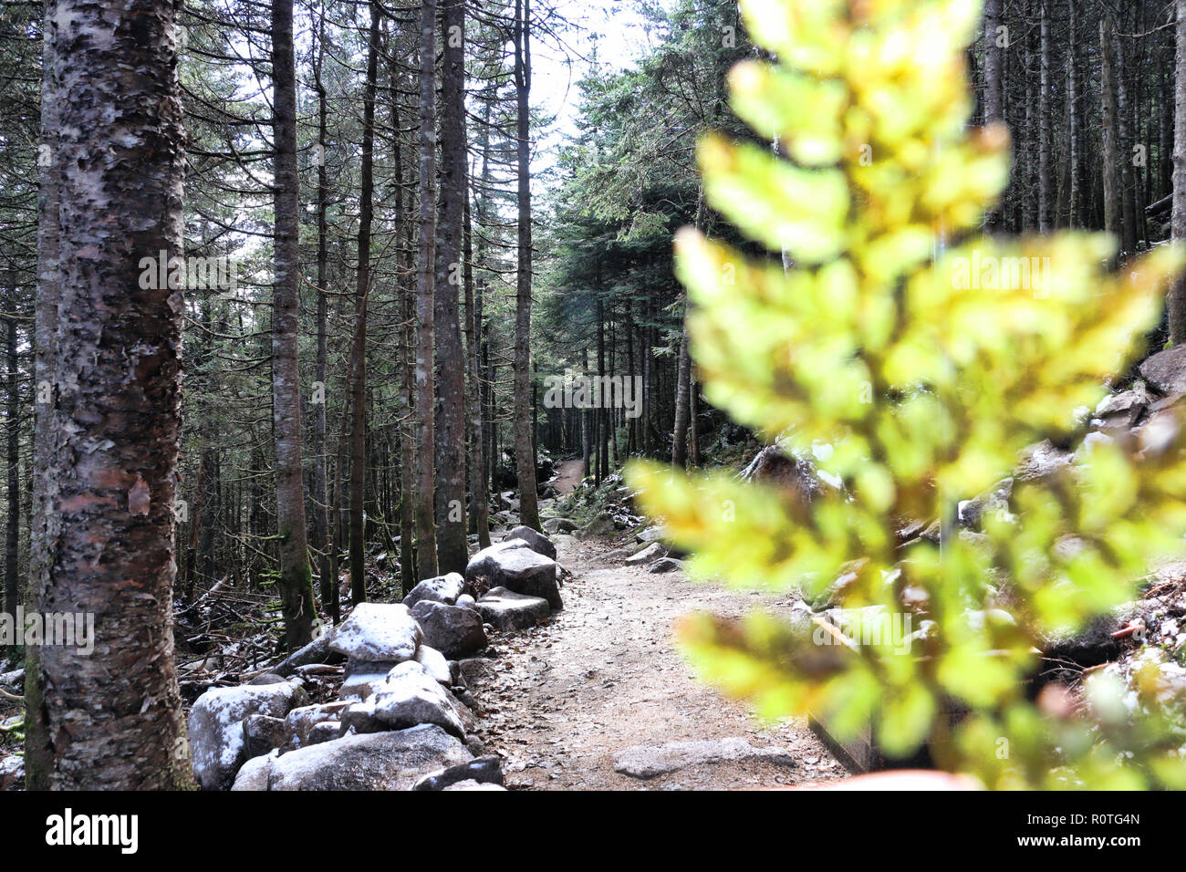 Mont Megantic National Park , Quebec, Canada Stock Photo - Alamy