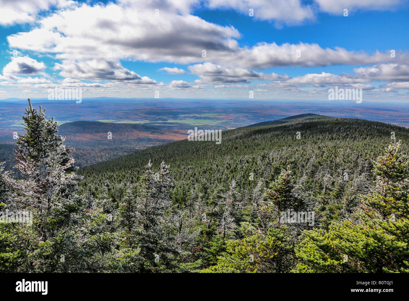 Quebec Forest Canada Scenery High Resolution Stock Photography and ...