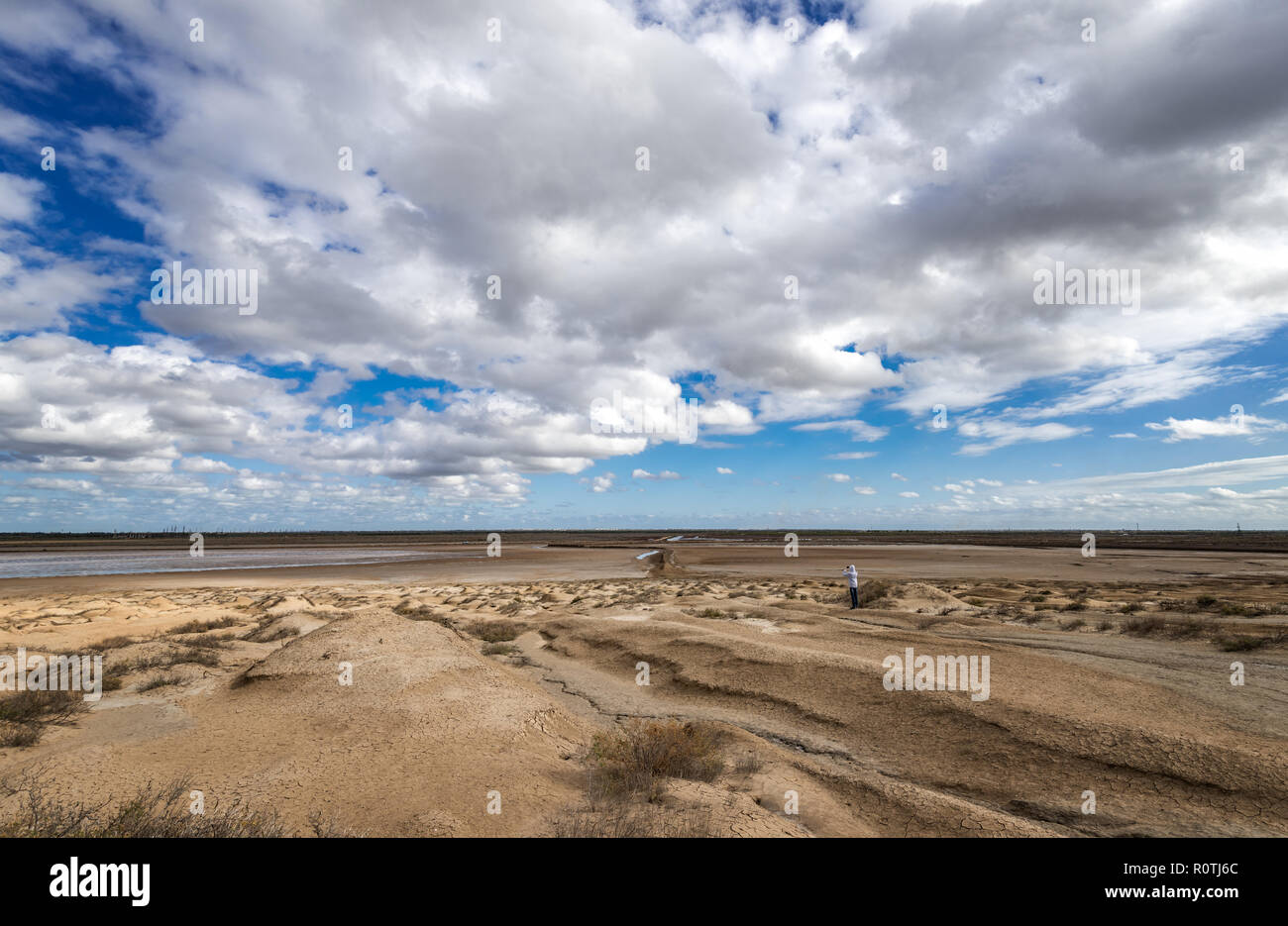 Wildlife, desert land Stock Photo - Alamy