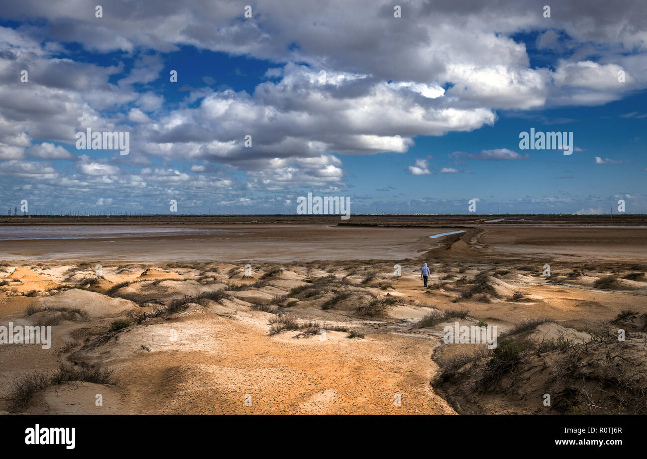 Wildlife, desert land Stock Photo - Alamy
