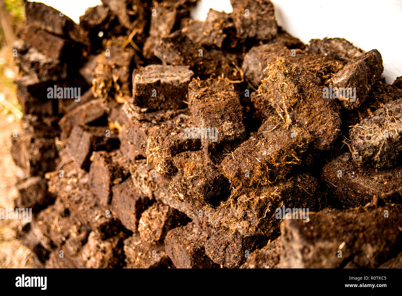 peat, closeup of a stock Stock Photo - Alamy