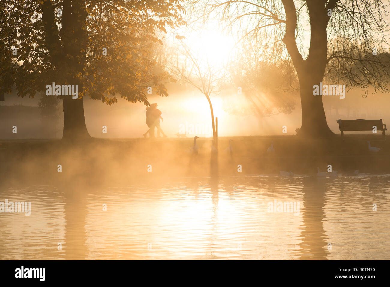 Woman walking through mist on hi-res stock photography and images - Alamy