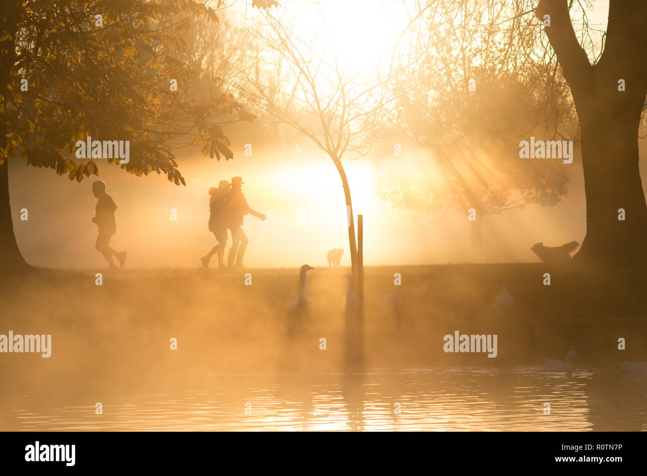 early morning sun seen through mist on the Avon Stock Photo - Alamy