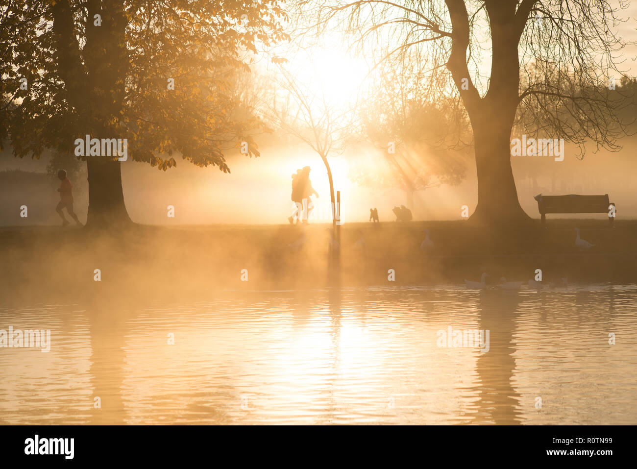 early morning sun seen through mist on the Avon Stock Photo - Alamy