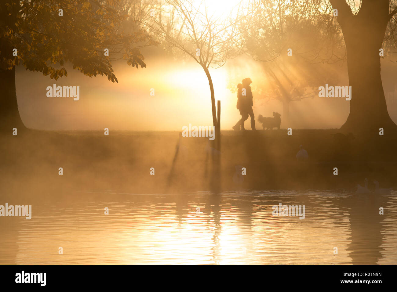 Woman walking through mist on hi-res stock photography and images - Alamy