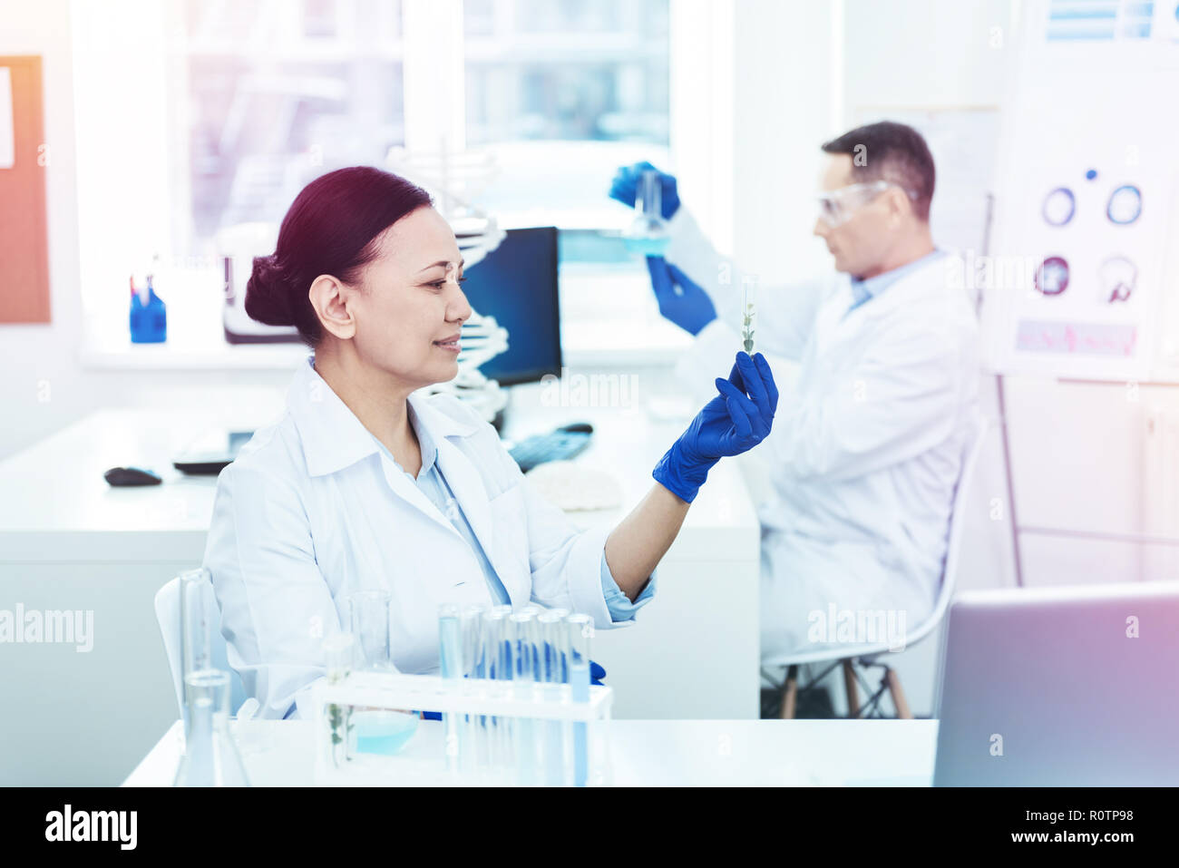 Smart female researcher working in the lab Stock Photo - Alamy