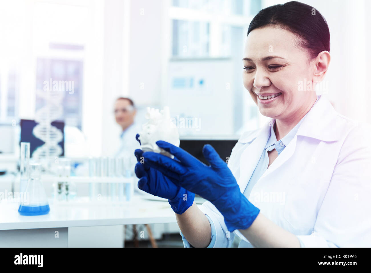 Cheerful female biologist looking at the heart model Stock Photo - Alamy