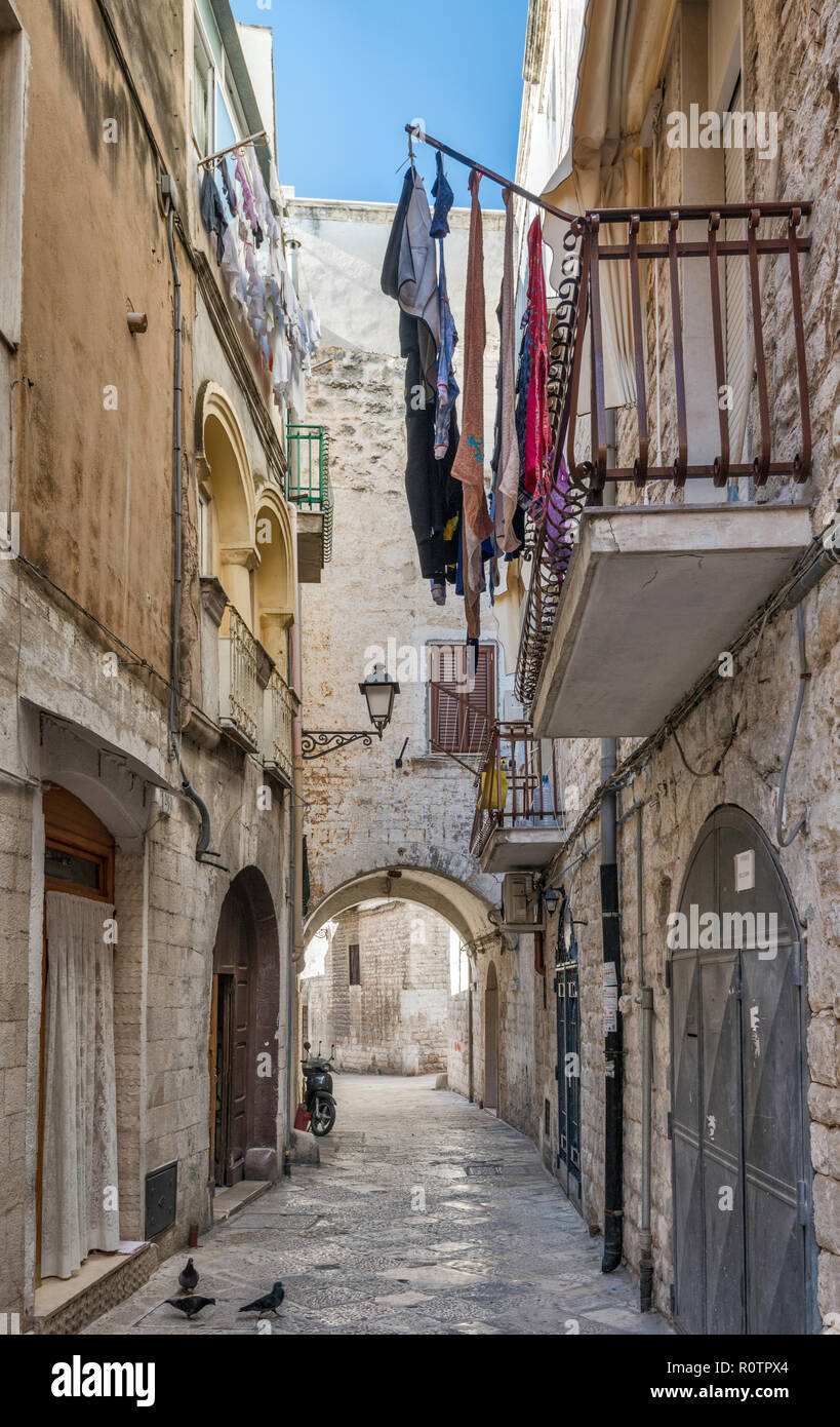 Strada arco spirito santo hi-res stock photography and images - Alamy