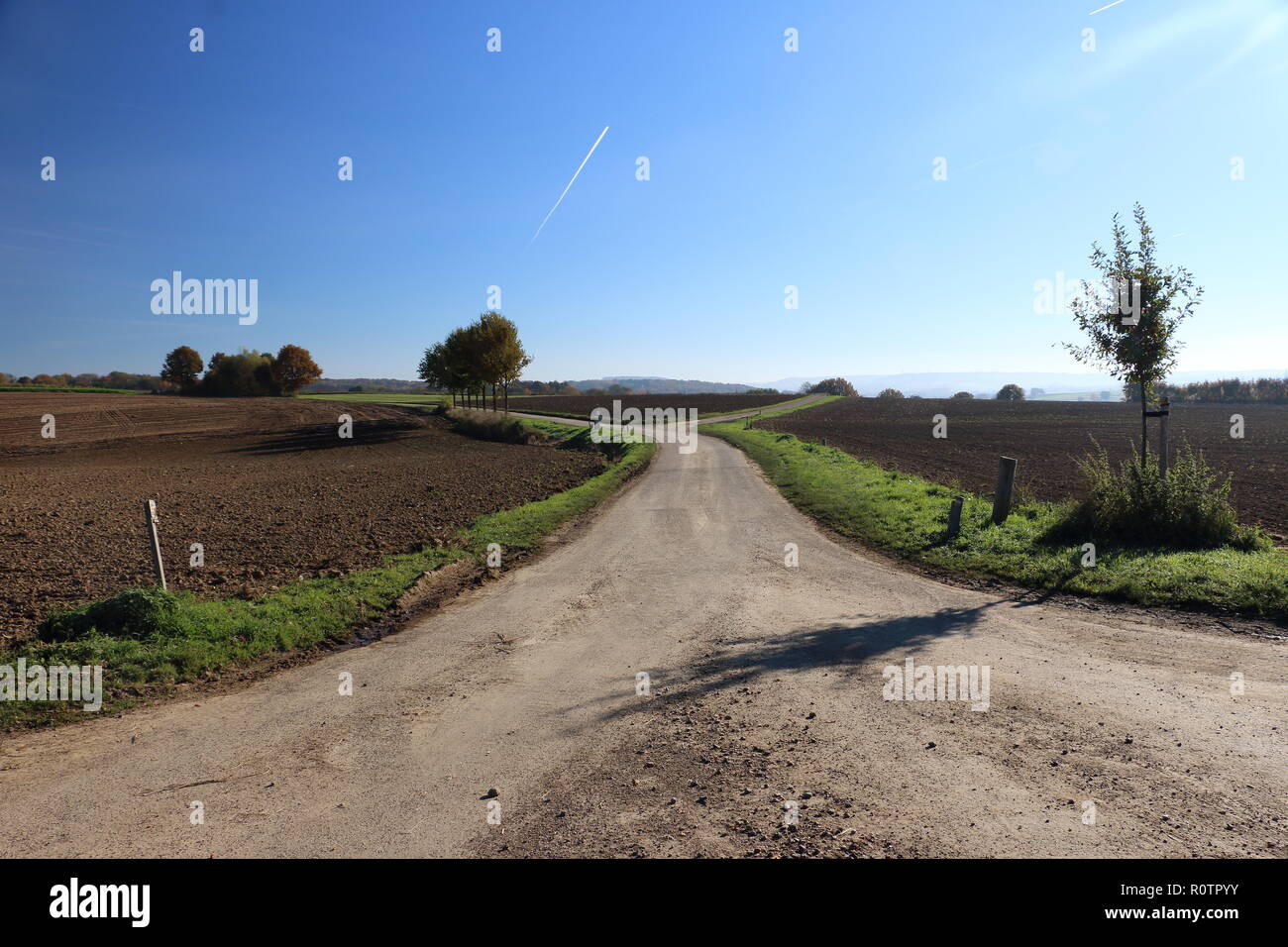 dirt road splitting in two , landscape scenery Stock Photo - Alamy