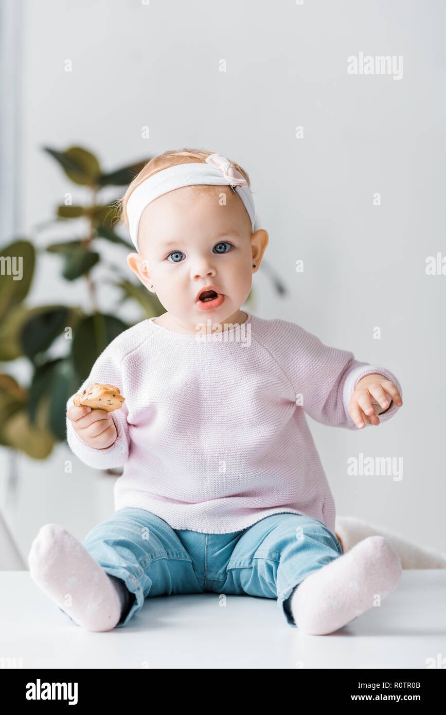 cute toddler sitting on white table and holding biscuit Stock Photo - Alamy