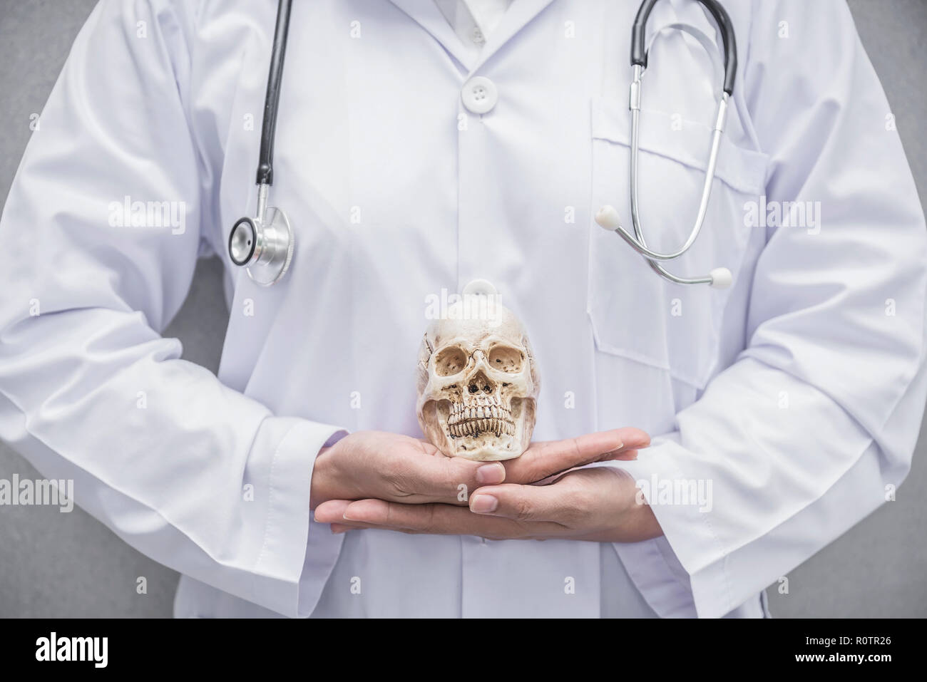 Health care concept. Closeup of doctor holding skull with stethoscope ...