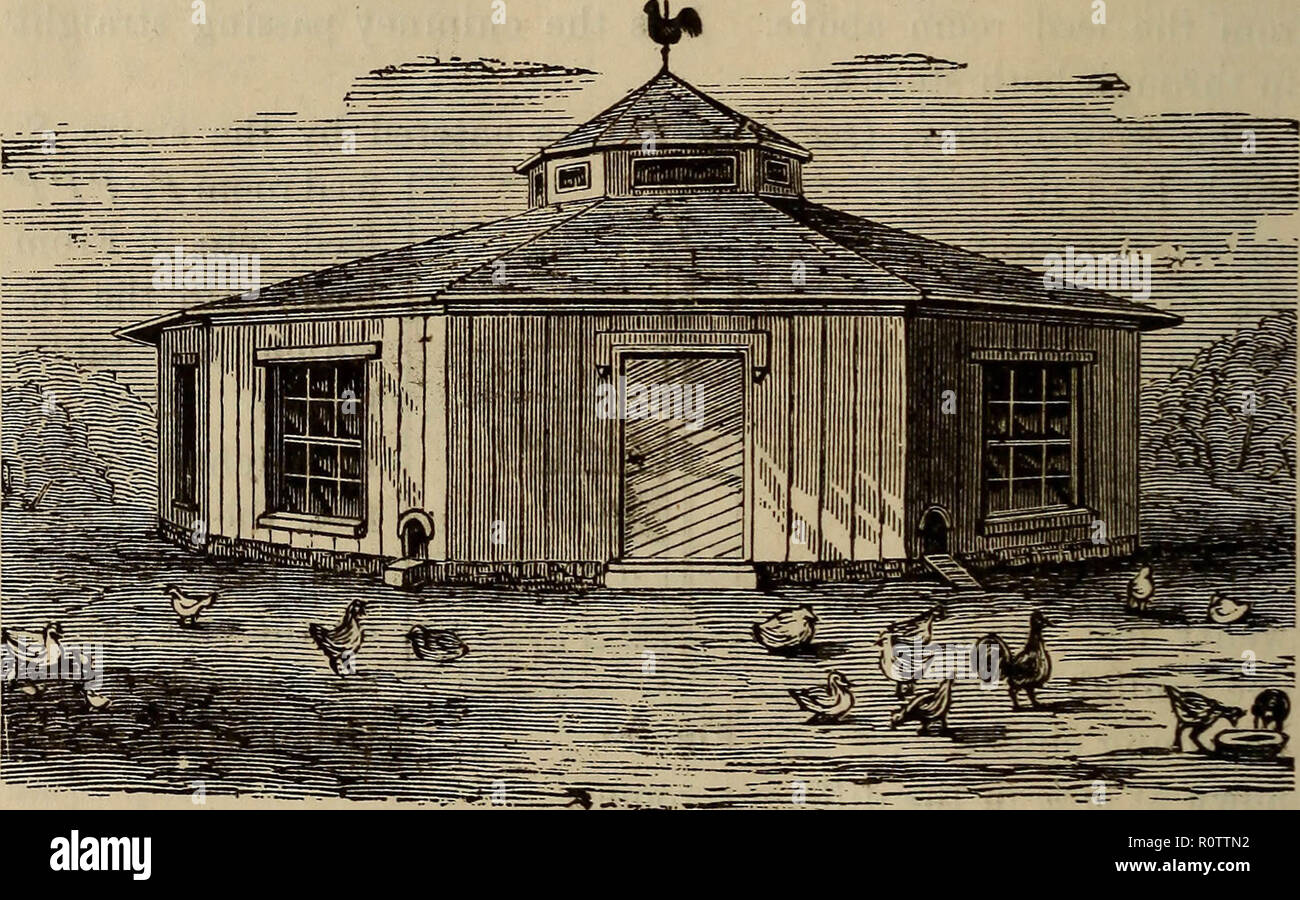 "Artificial incubation and incubators .." (1883 Stock Photo - Alamy