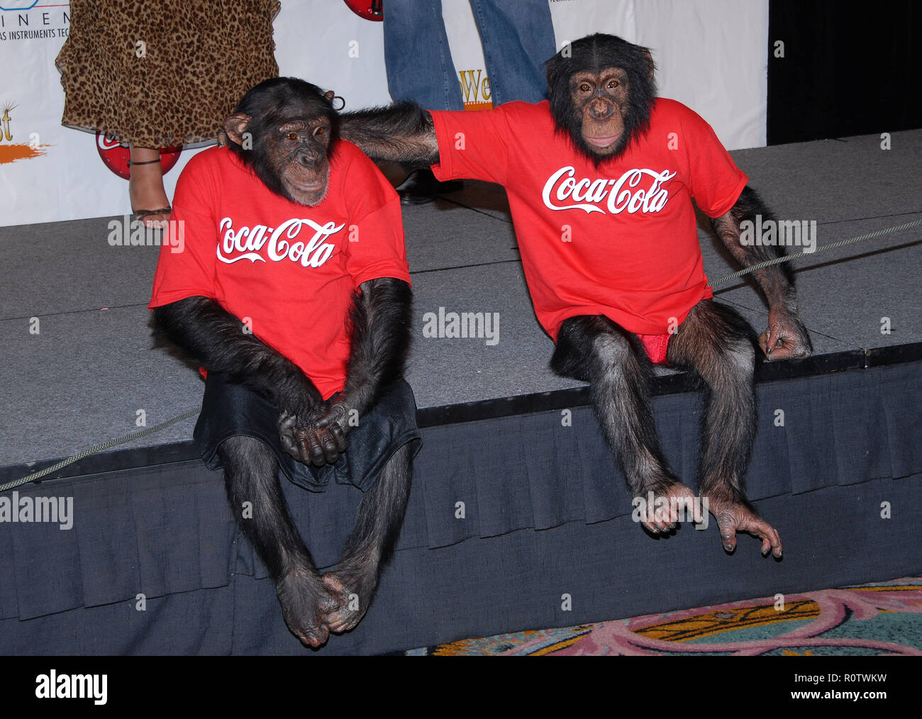 The REEL MONKEY at Showest Awards at the Paris Hotel In Las Vegas ...