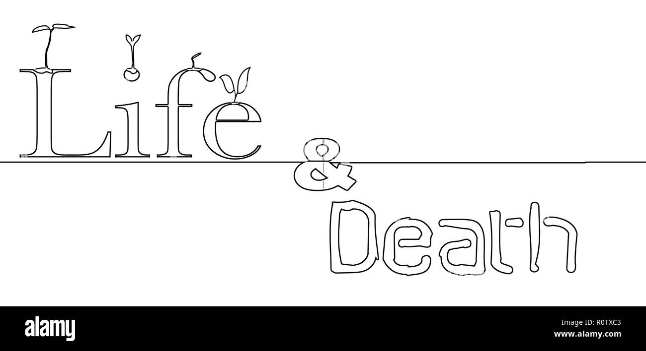 The words life and death in outline with germinating seeds Stock Photo ...