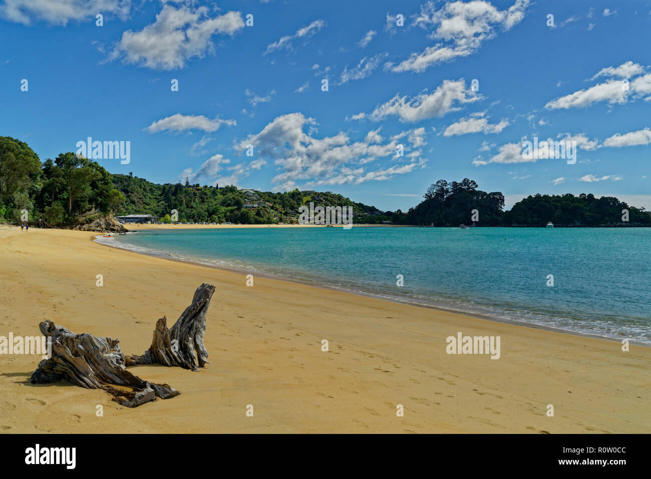Nelson bay new zealand hi-res stock photography and images - Alamy