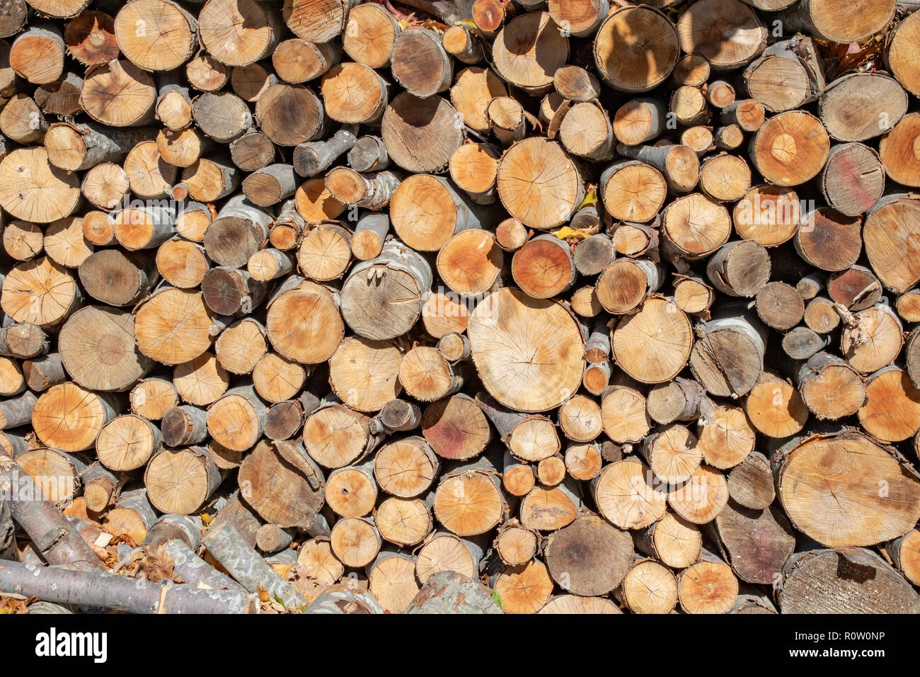 Sawn tree trunks of different sizes lying one on another Stock Photo ...