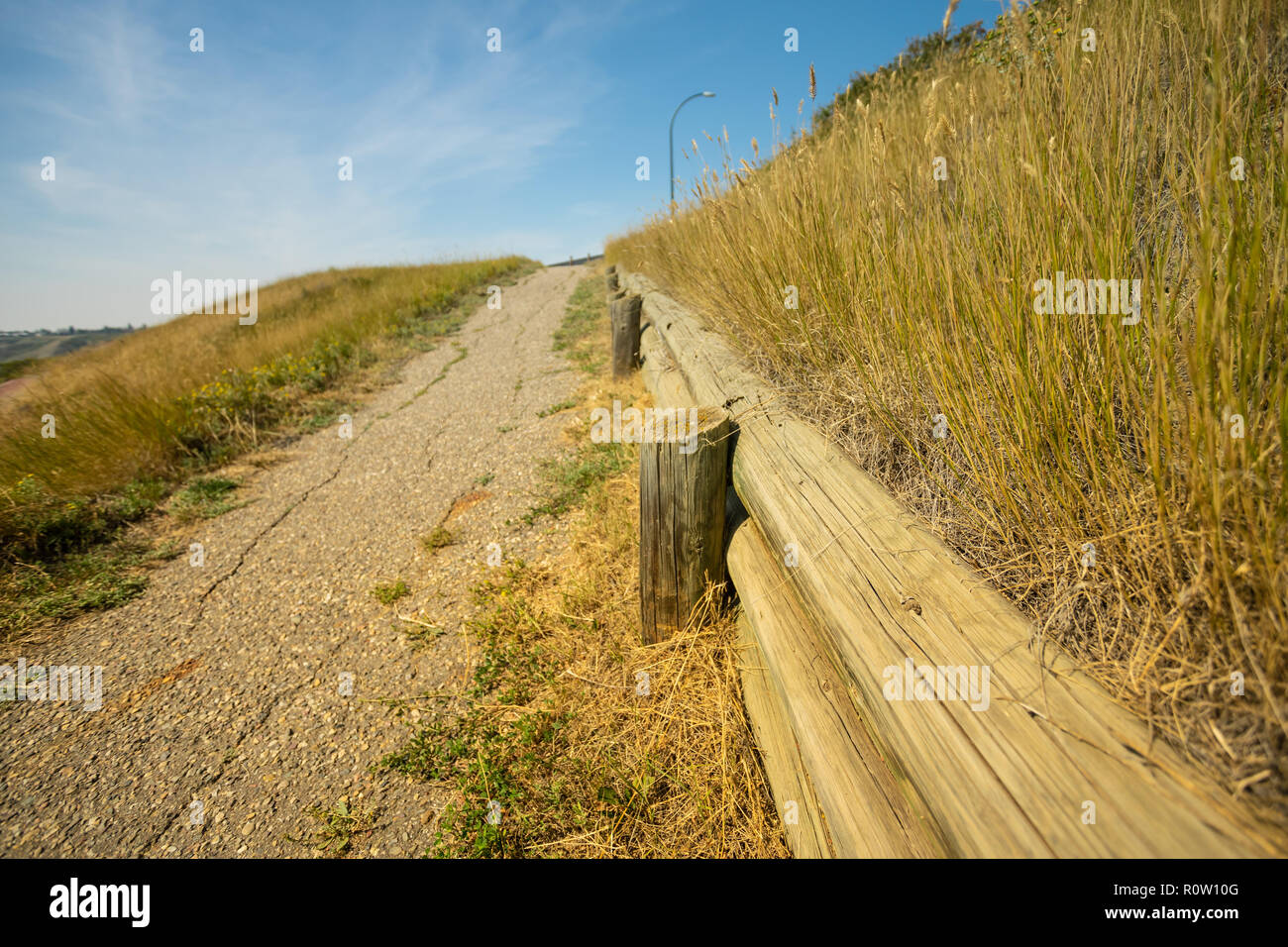 Footpath under blue skies in open field on farm Stock Photo - Alamy