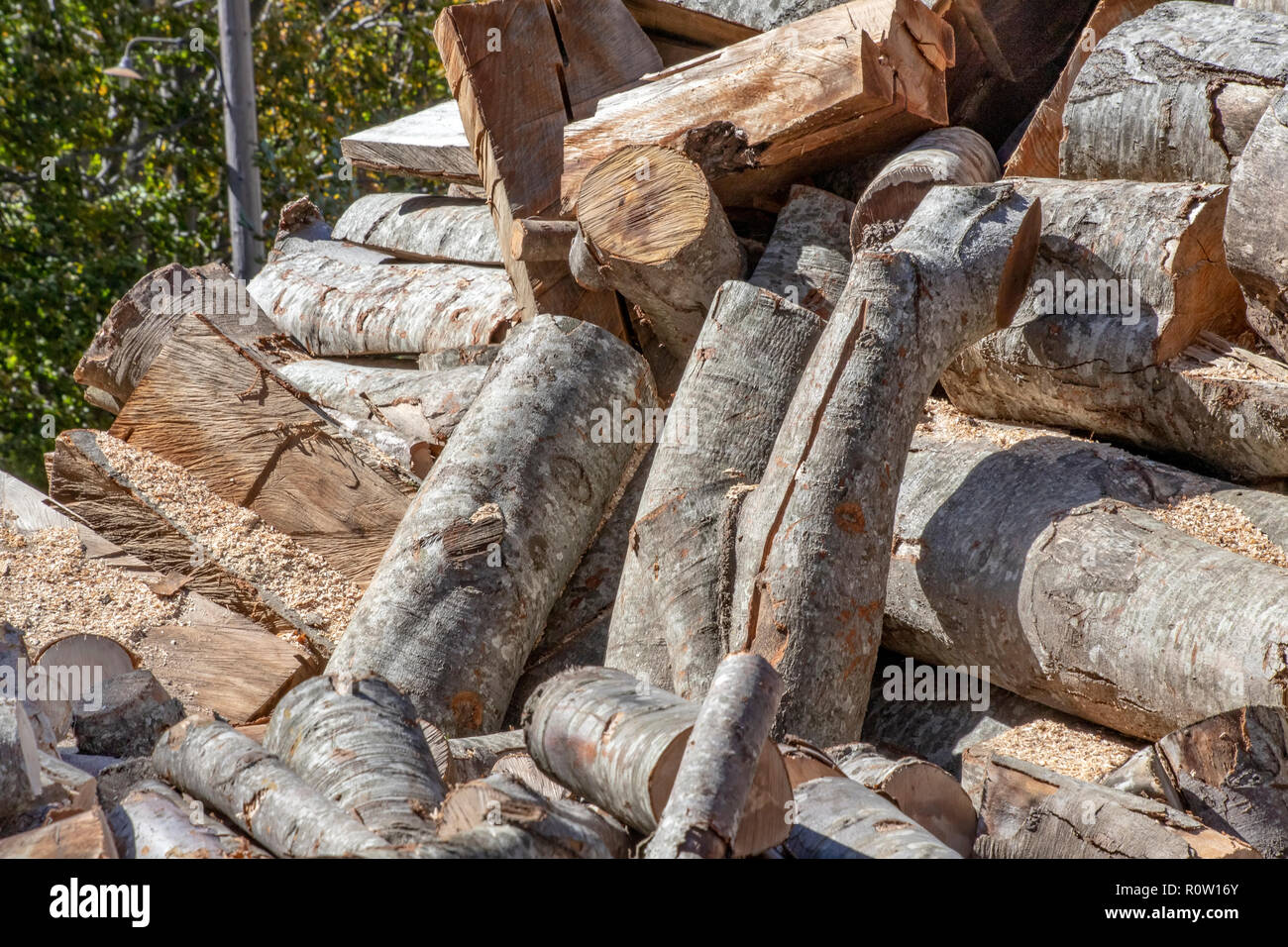 Sawn tree trunks of different sizes laying in pile close up. Greece ...
