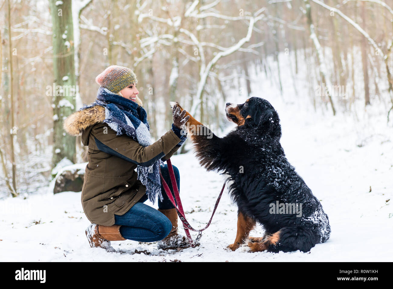 Clapping dog hi-res stock photography and images - Alamy