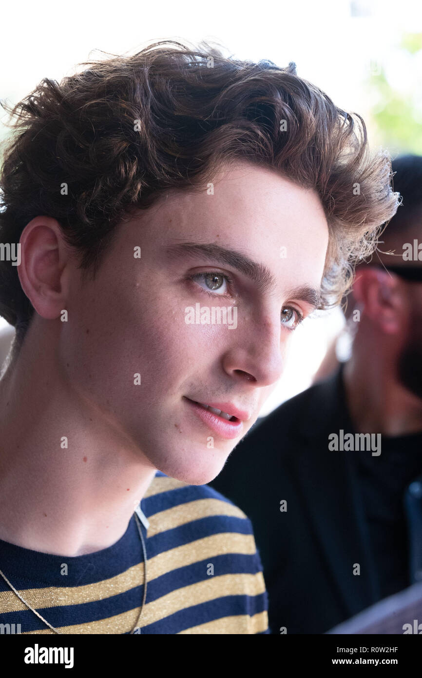 41st Mill Valley Film Festival - Beautiful Boy - Premiere Featuring ...