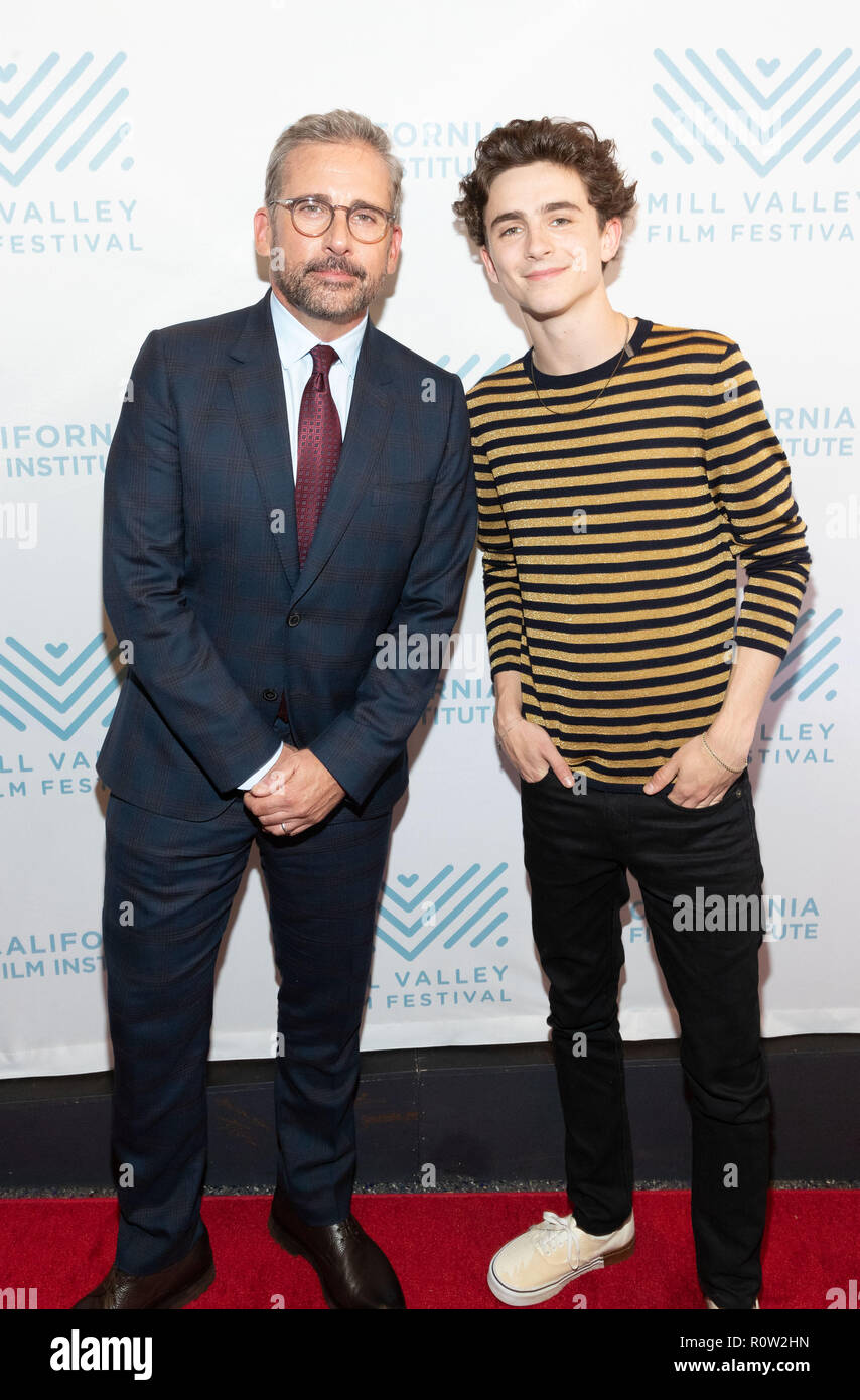 Steve Carell Timothee Chalamet Movie 60 Photos Moonagedaydream Film