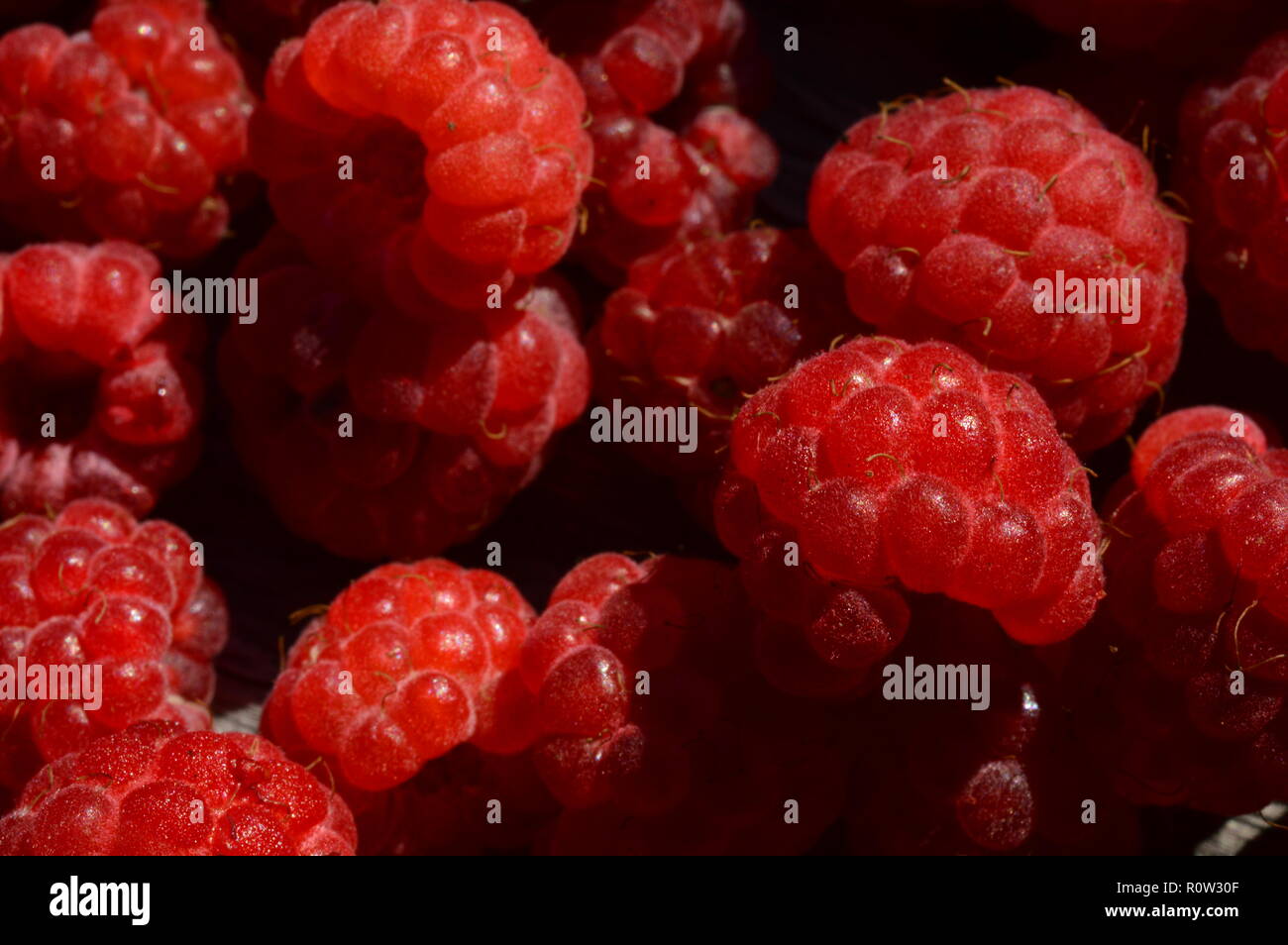 Wild raspberry berries fresh juicy ripe fruit tasty food Stock Photo ...